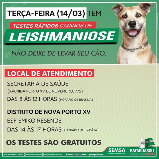 Saúde Municipal disponibiliza teste rápido de Leishmaniose canina em ... Saúde Municipal disponibiliza teste rápido de Leishmaniose canina em ...
