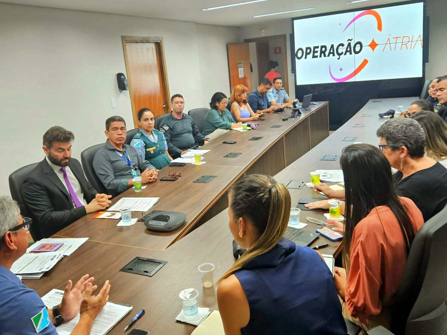 MPMS participa da reunião de alinhamento de atuação integrada da ...