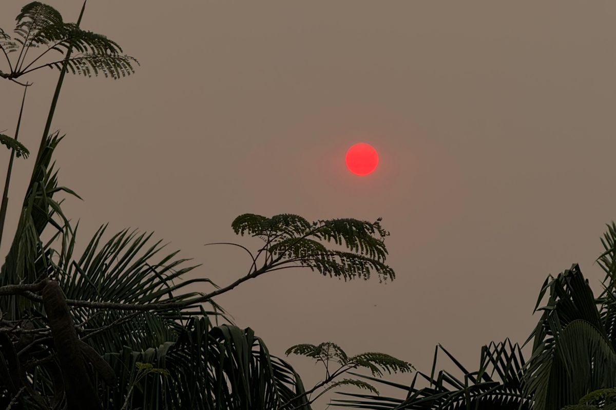 Queimadas em SP: entenda os efeitos da fumaça sobre a saúde da ...