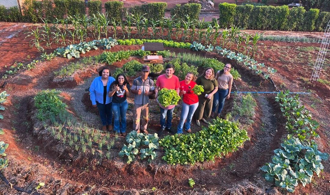 Bolsistas do Pictec inovam agricultura familiar em Anhanduí com apoio ...