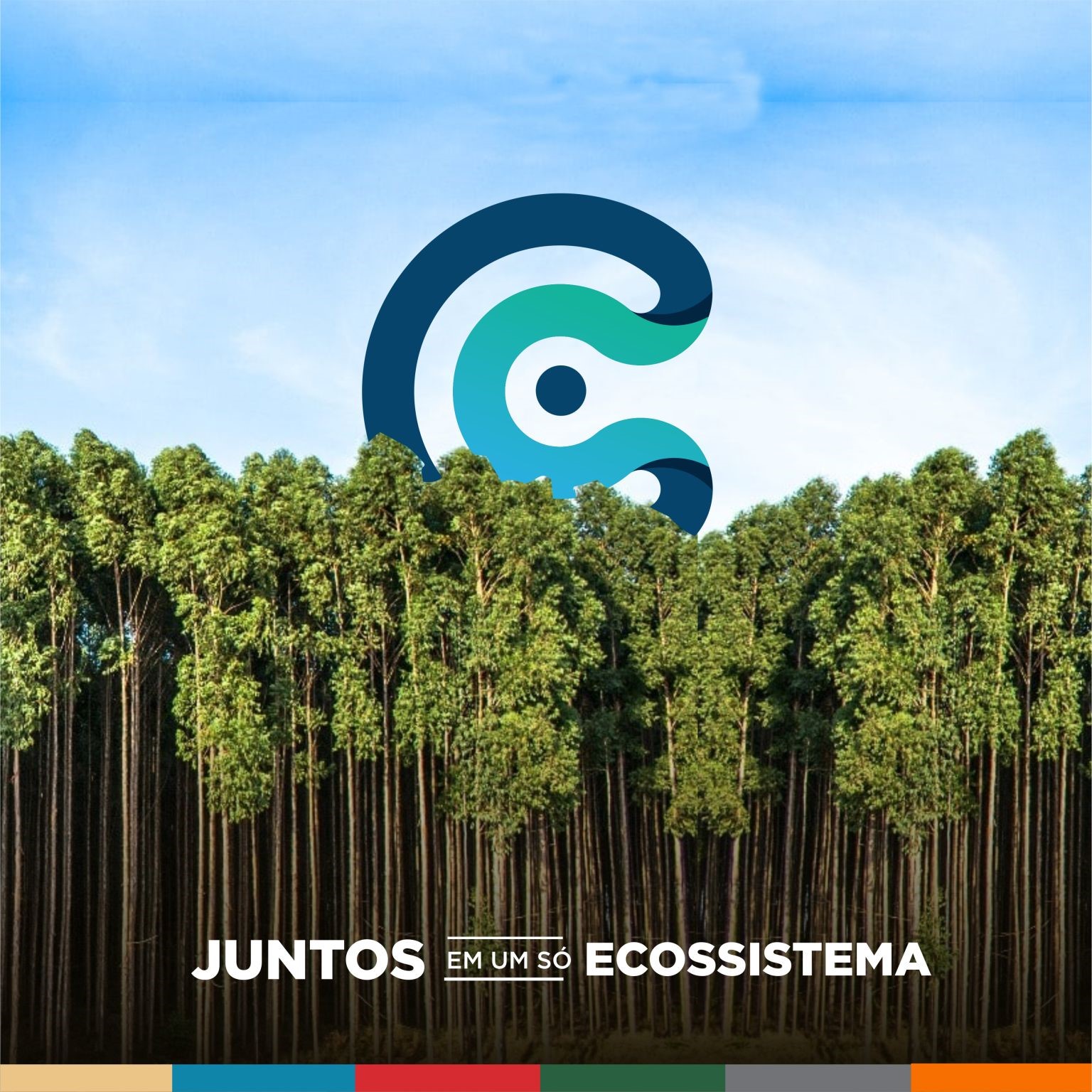 Grupo Comelli agora é Grupo Comber: mudança une todas as operações da ...