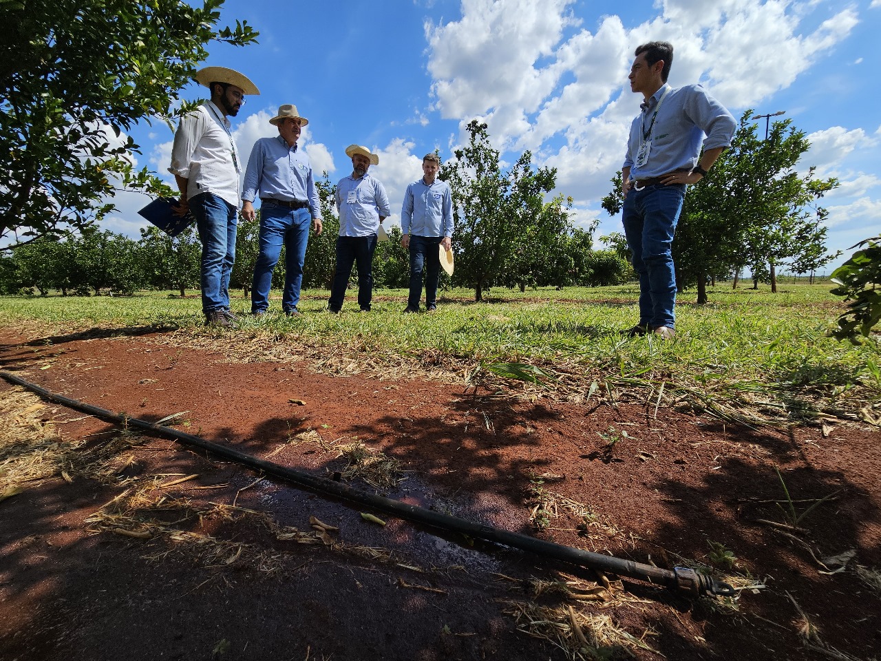 Governo avança em capacitações do MS Irriga e destaca potencial para ...