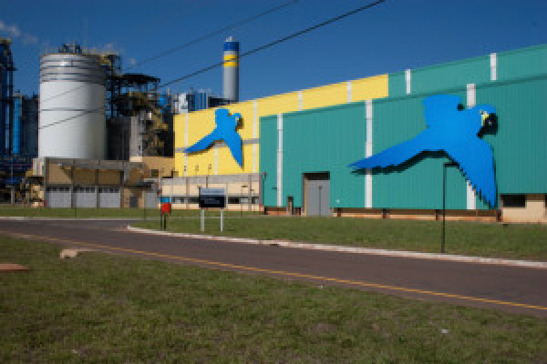 International Paper completa 7 anos de excelência operacional em Três ...